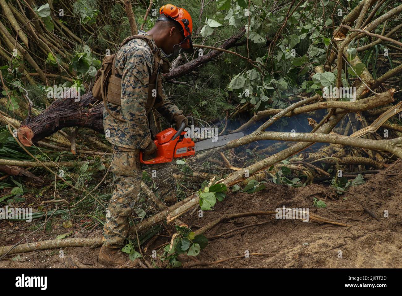 U.S. Marine Corps Lance Cpl. Hugh Nash, a Combat Engineer with Alpha ...