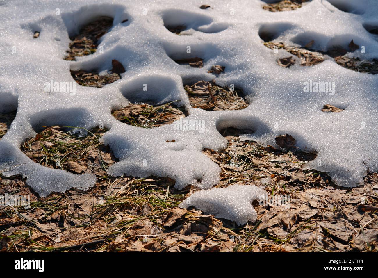Melting snow on the fields in early spring. Natural spring background Stock Photo - Alamy