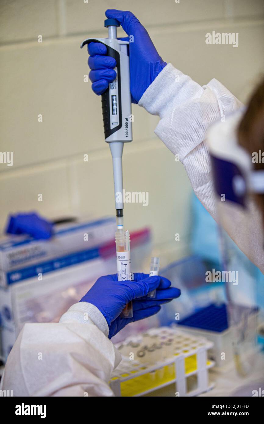 Images Lab Bagging Specimens
