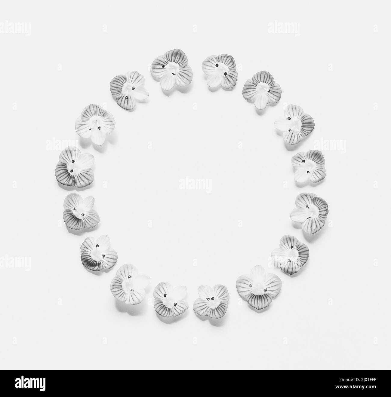 Top view frame fresh Black and White Stock Photos & Images - Alamy
