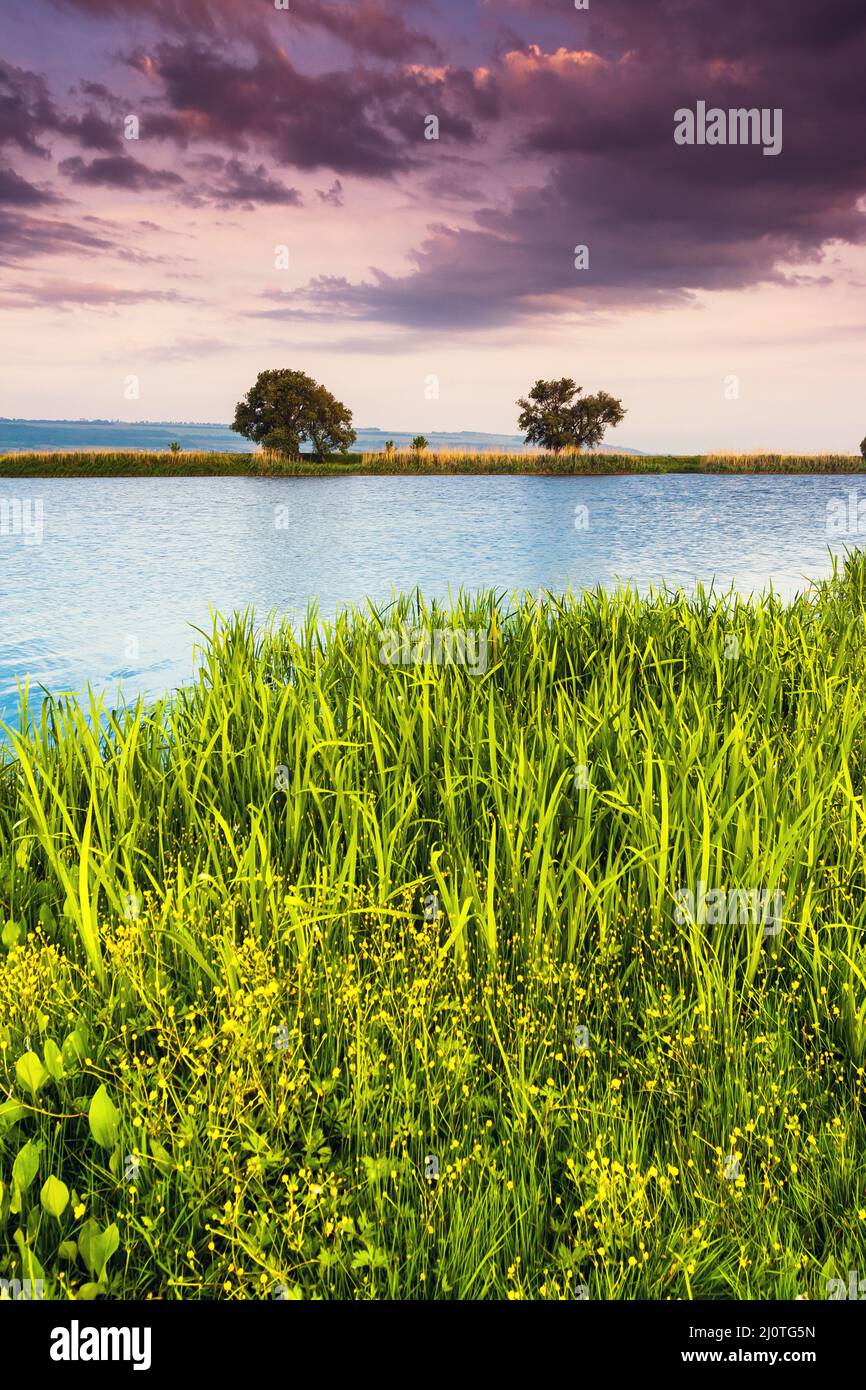 Beautiful view of sinuous river in summer. Dramatic overcast sky ...