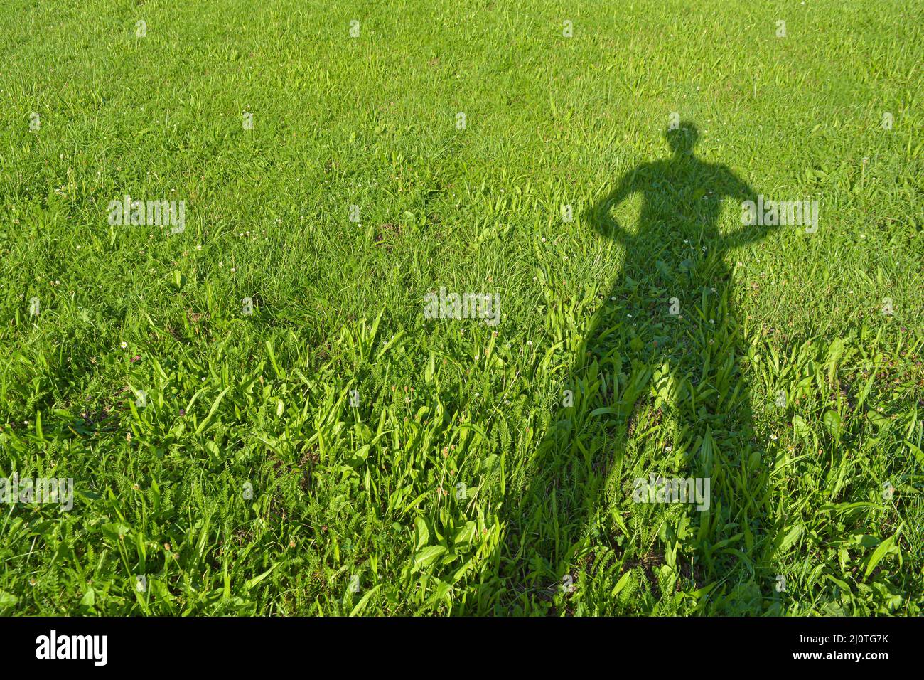 Cartoon nature sun clouds grass hi-res stock photography and images - Alamy