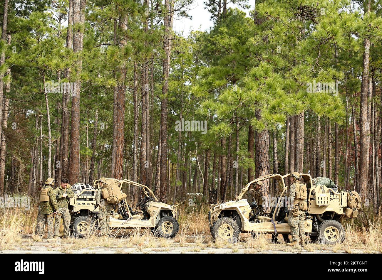 Marines from Camp Lejeune-based units conduct a littoral exercise ...