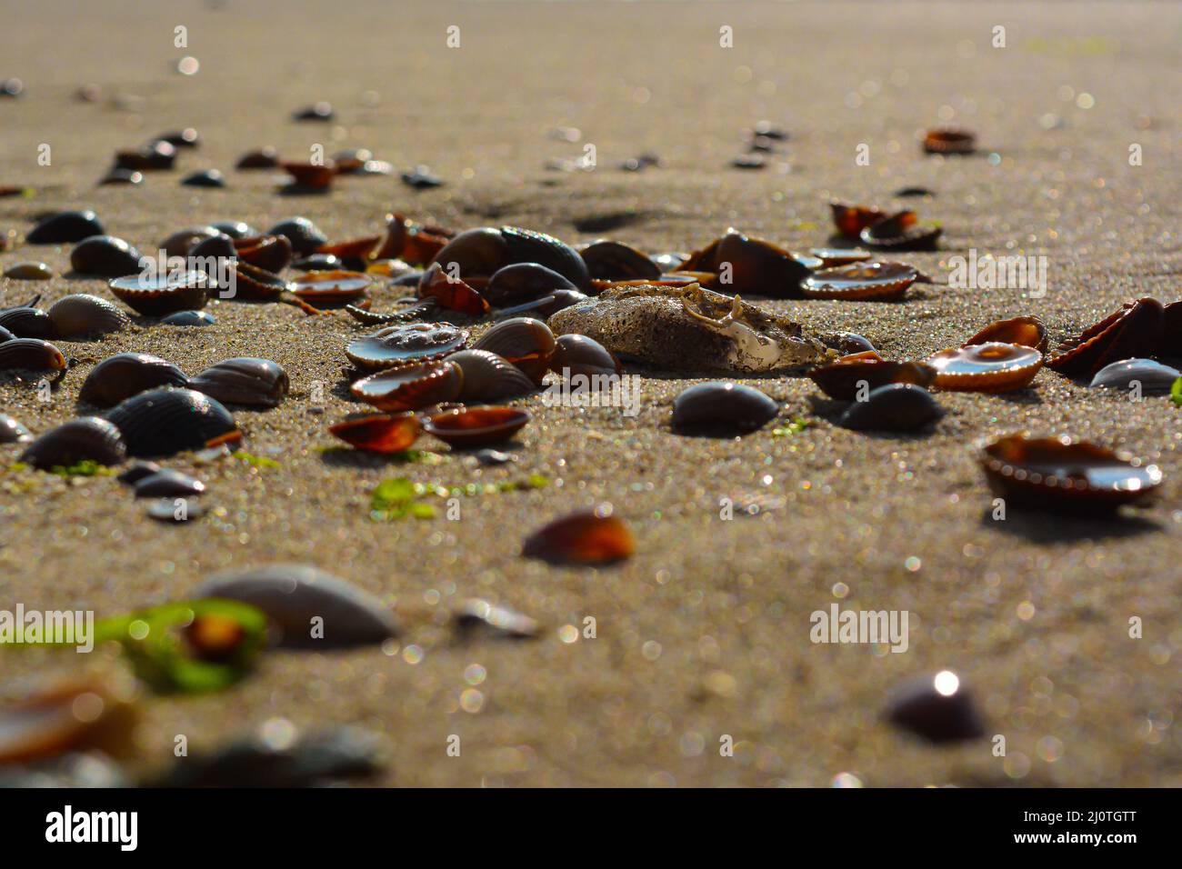 Sand sun summer tourism hi-res stock photography and images - Alamy