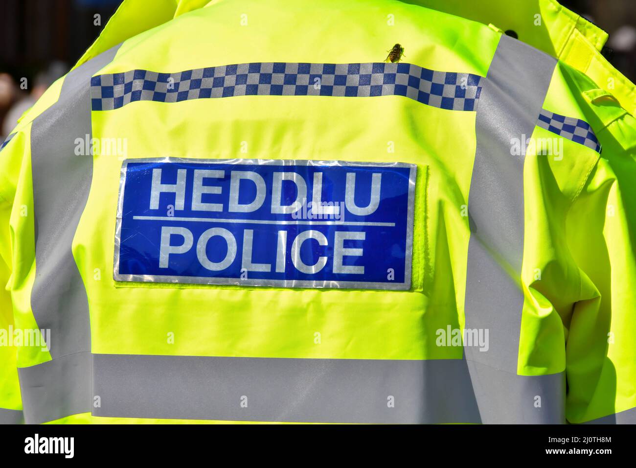 Cardiff, Wales - March 2022: Rear view of the bilingual sign on the ...