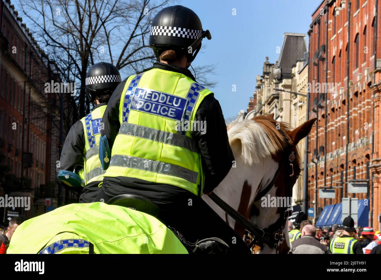 Cardiff, Wales - March 2022: Rear view of a mounted police officer on ...