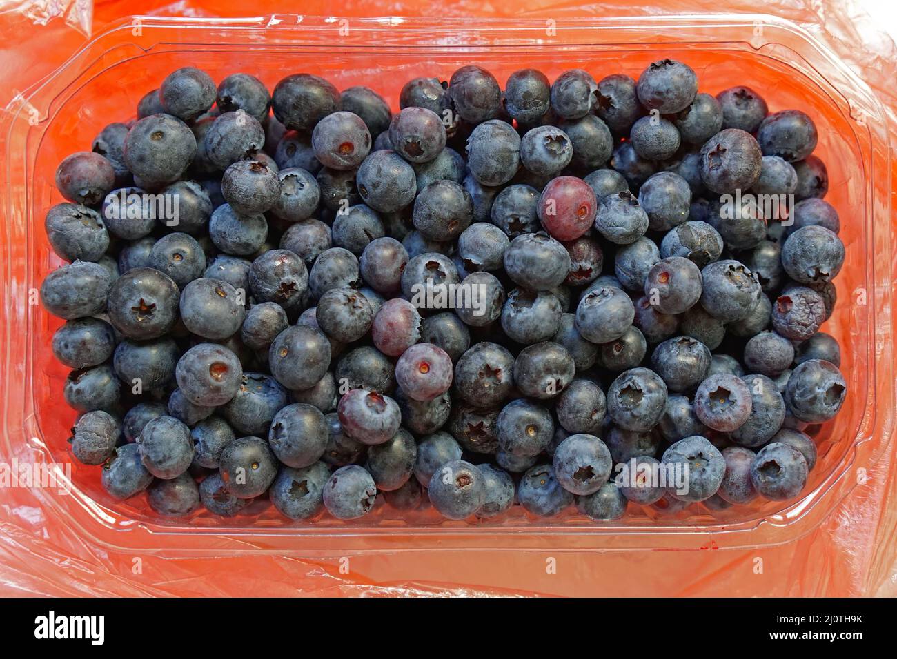 Fresh blueberries berry fruits in plastic tray Stock Photo - Alamy