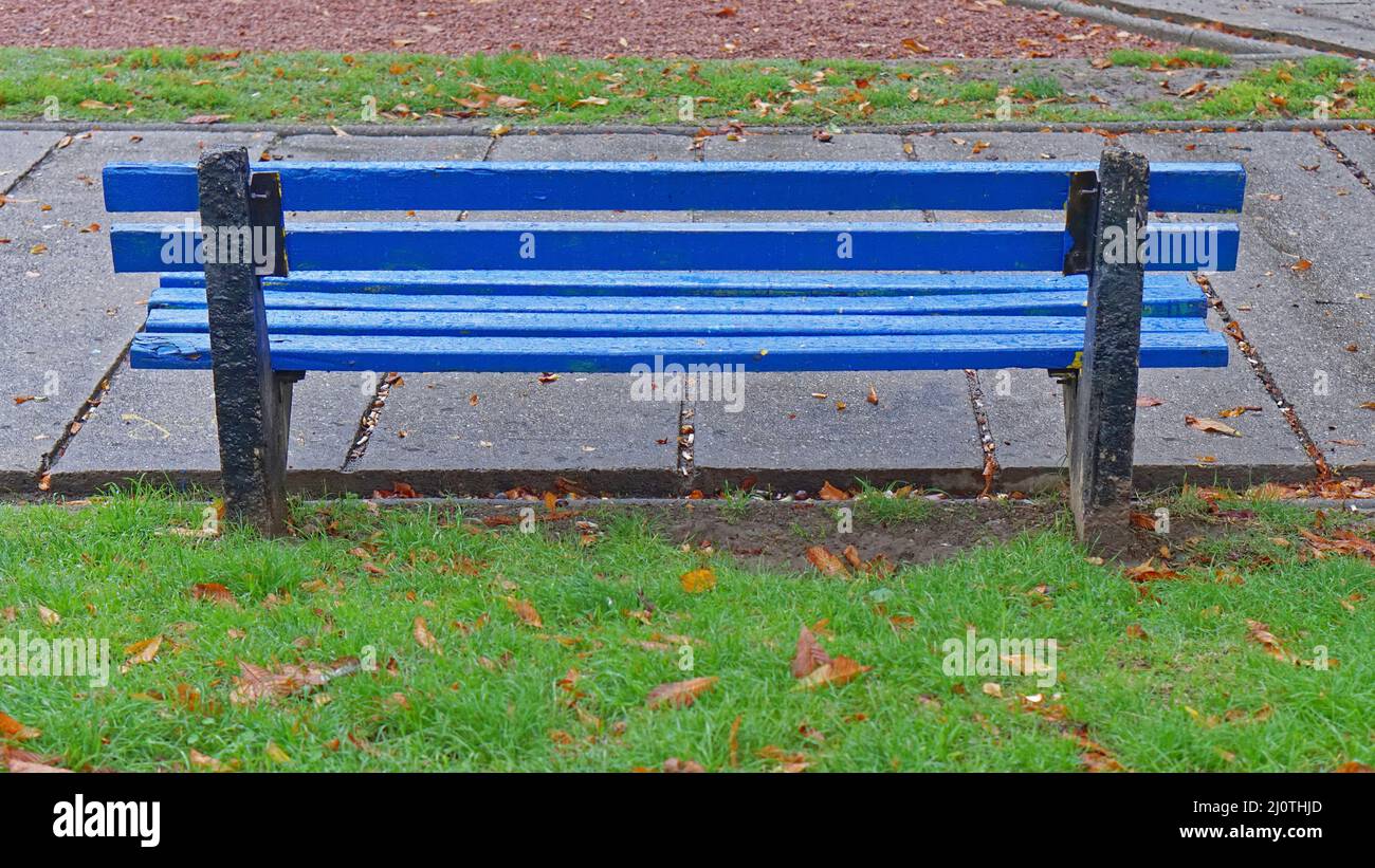 Empty blue wooden bench in city park fall Stock Photo - Alamy
