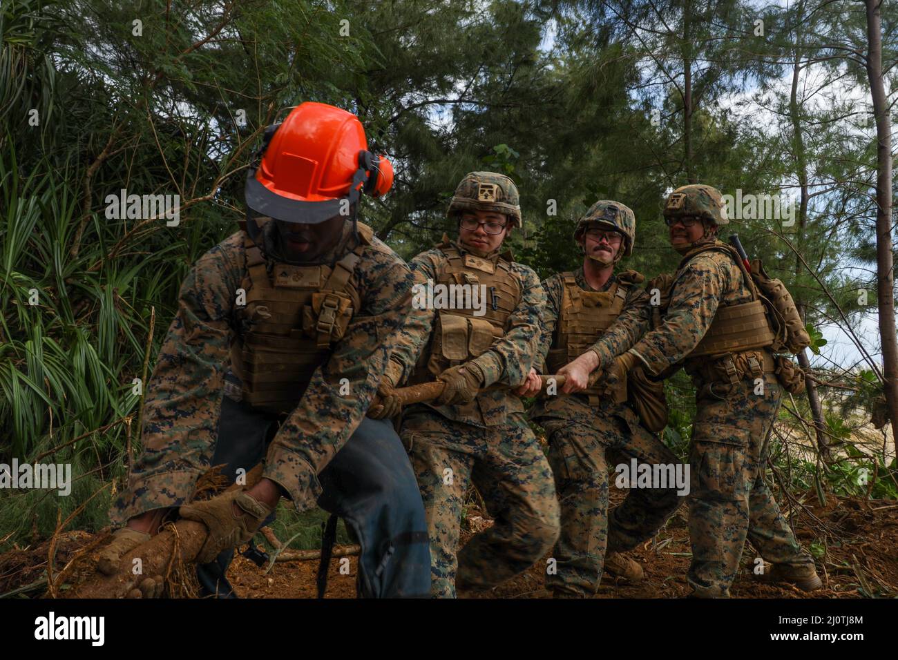 U.S. Marine combat engineers with Alpha Company, 3rd Landing Support ...