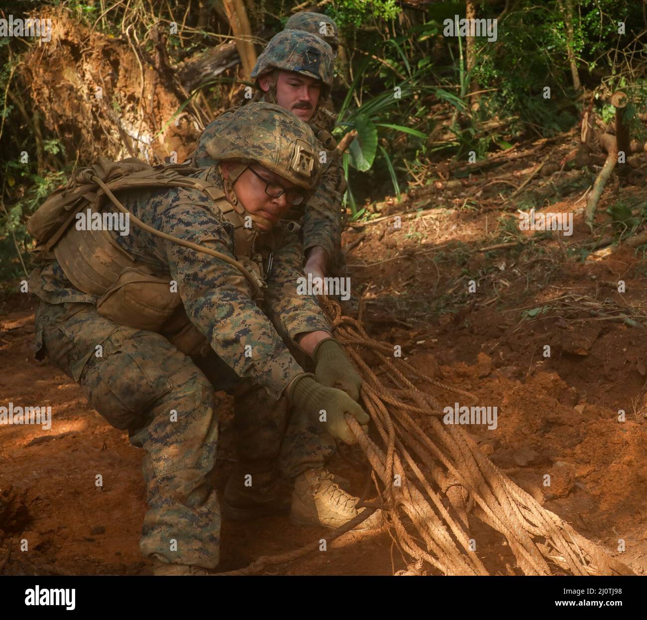 D7 dozer hi-res stock photography and images - Alamy