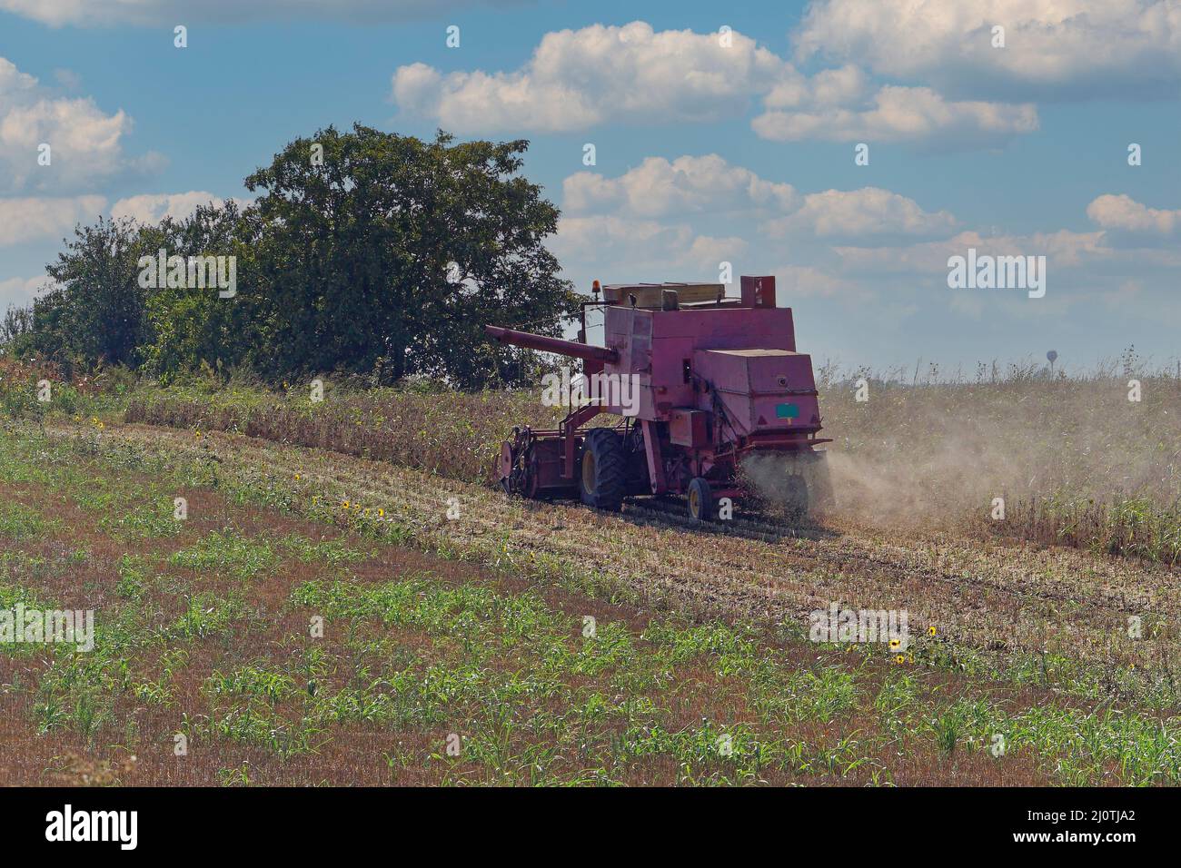 Old corn harvester machine at field late summer Stock Photo - Alamy