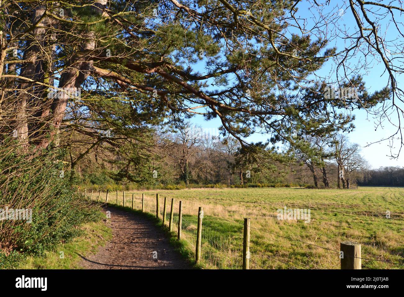 Scenes from Petts Wood's National Trust-maintained Hawkwood Estate on a ...