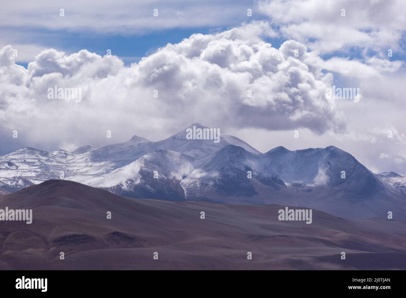 Miocene ecosystem hi-res stock photography and images - Alamy