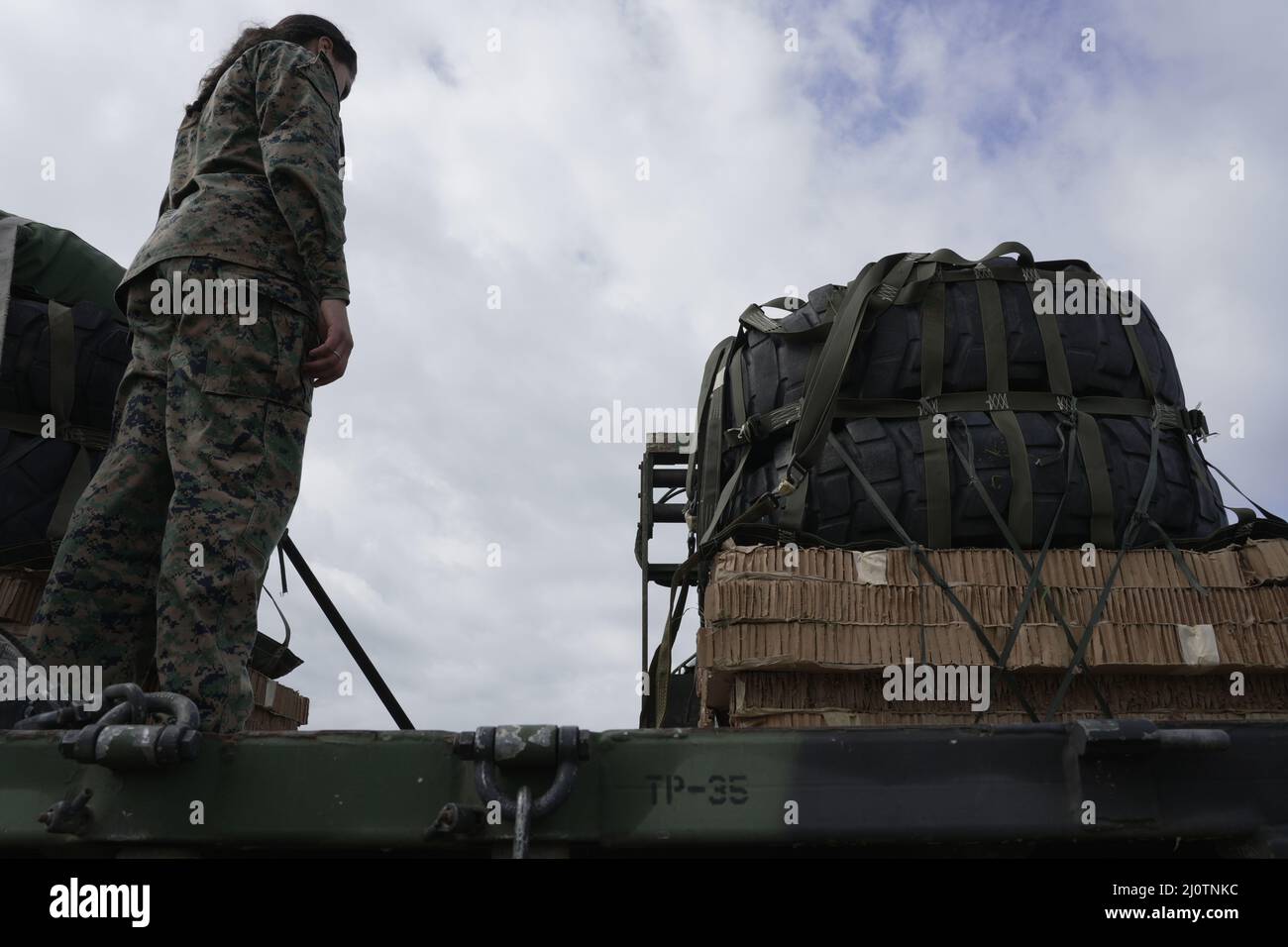 A U.S. Marine with Air Delivery Platoon, 3d Landing Support Battalion ...