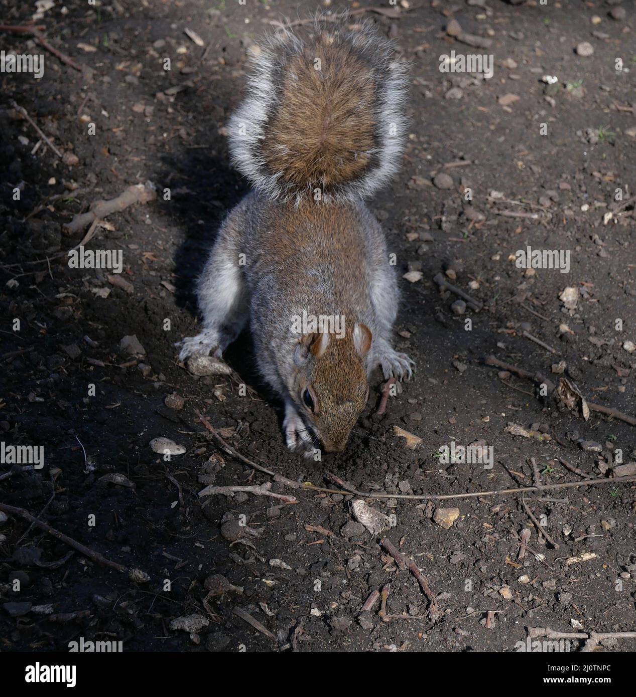 Rough on the feet hi-res stock photography and images - Alamy