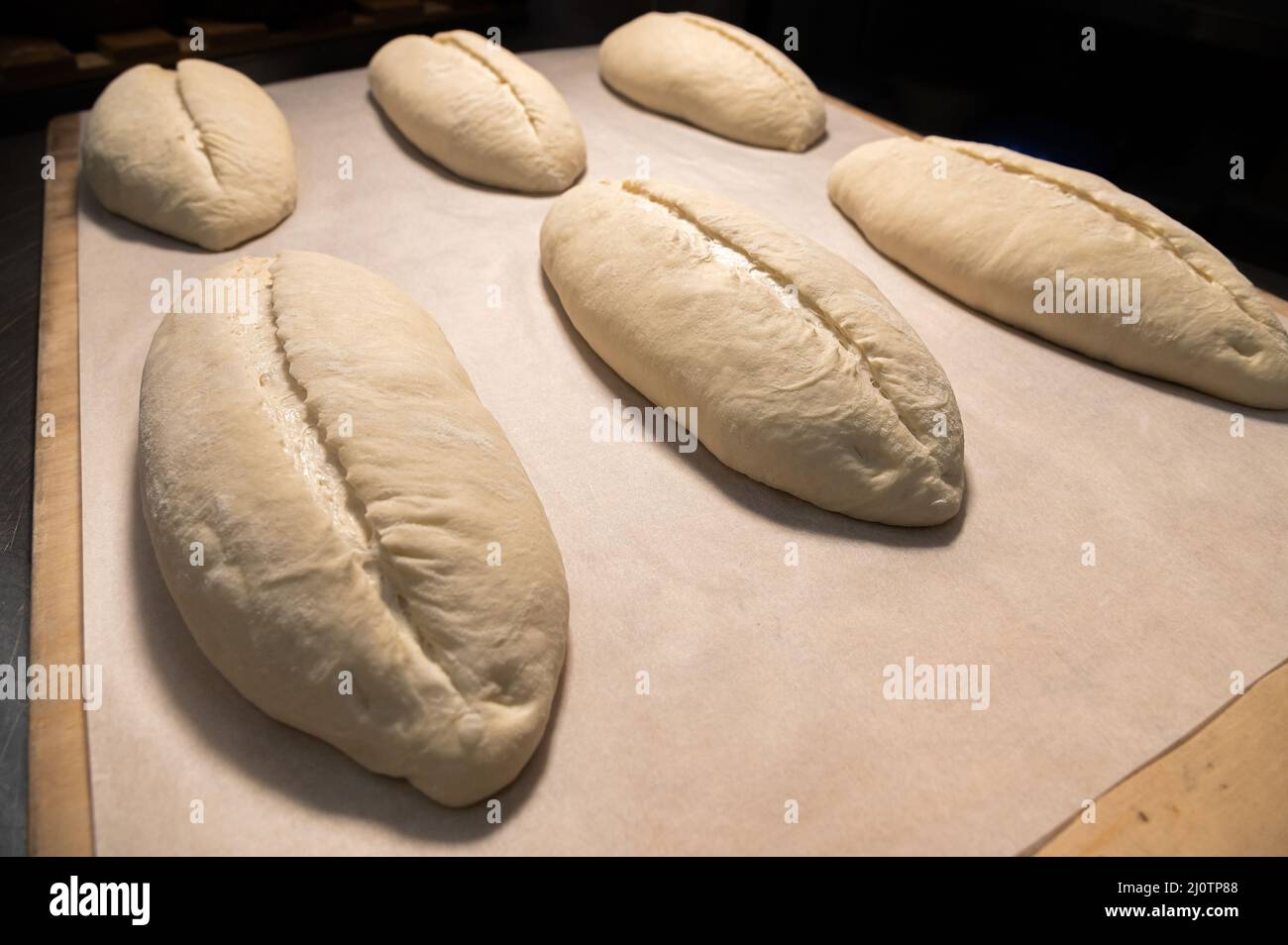 A close-up of razor-cut uncooked loaf of bread loafs of dough before baking in the oven. Craft ...
