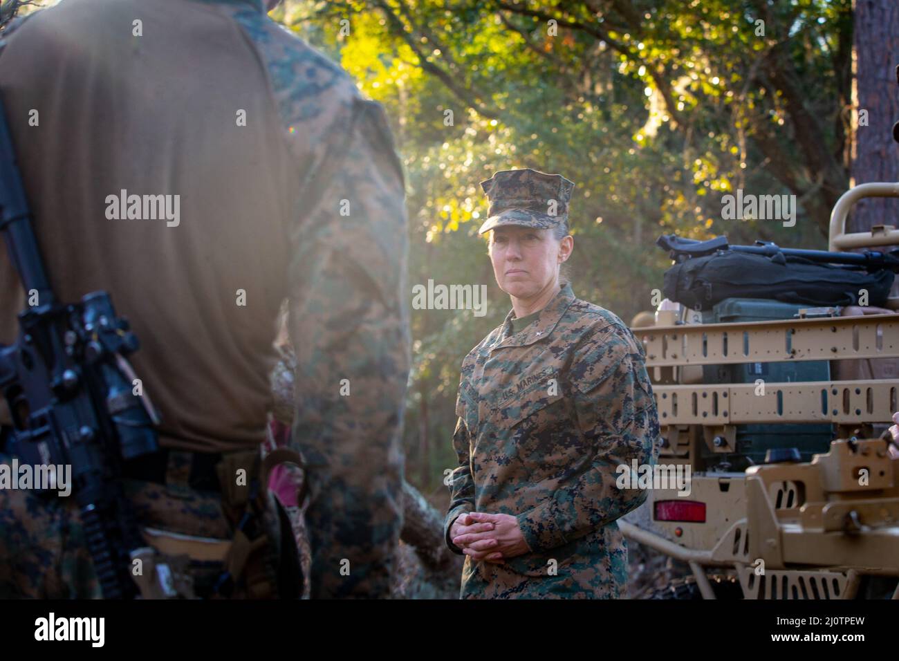 U.S. Marine Corps Brig. Gen. Julie L. Nethercot, commanding General of ...
