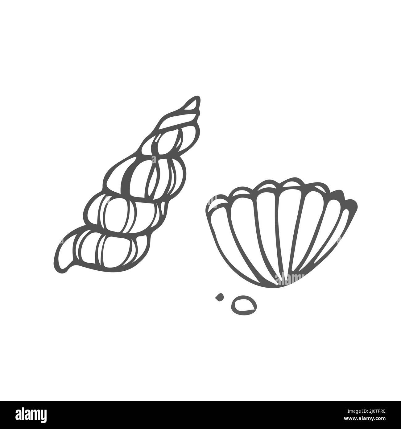 Seashell Outline