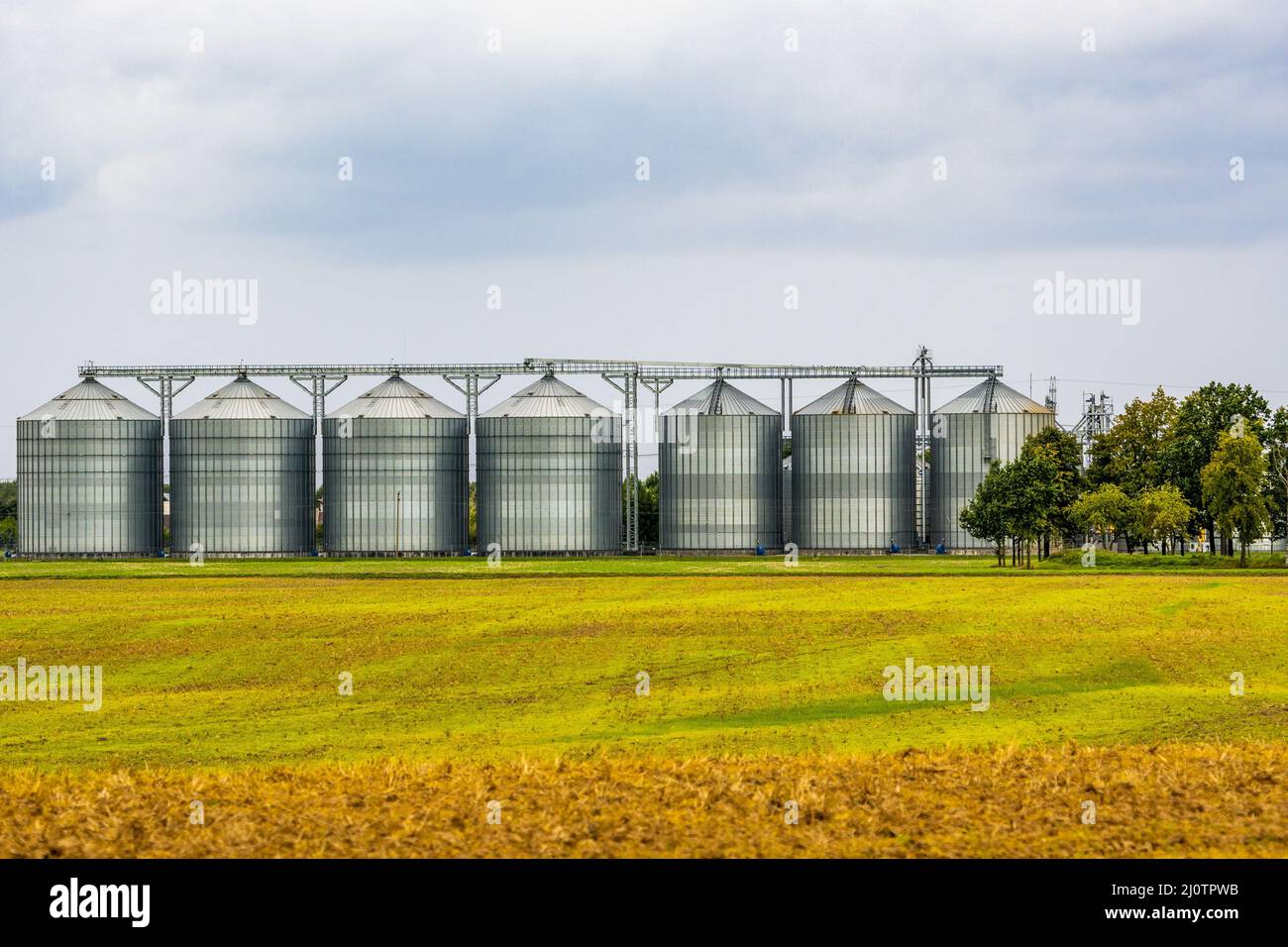 Farm silos storage towers Stock Photo - Alamy