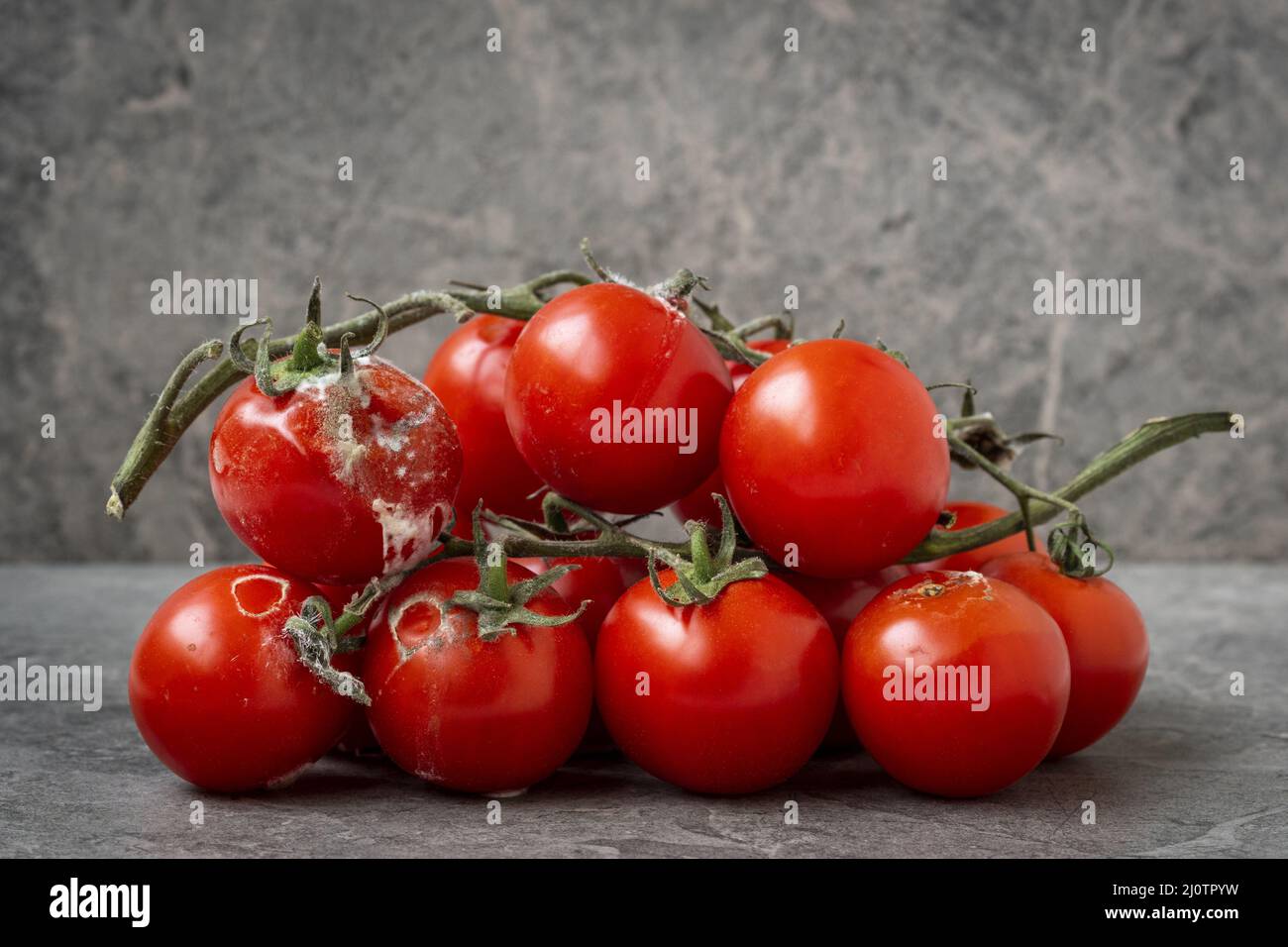 Rotten group of tomato Stock Photo - Alamy