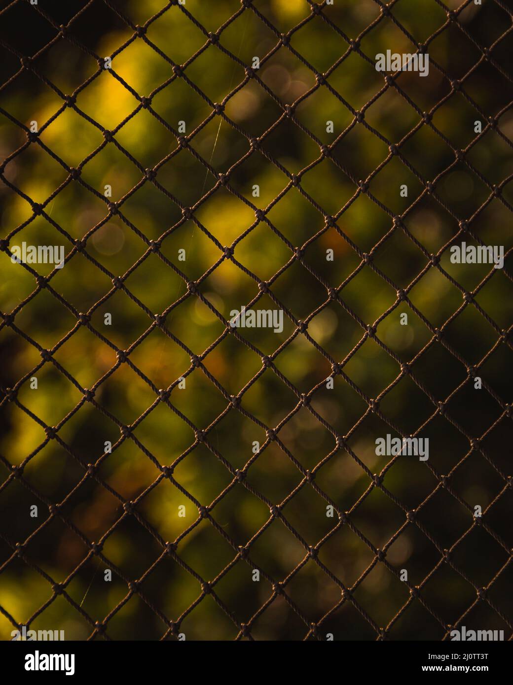 Vertical shot of a grid fence with a blurry background Stock Photo - Alamy