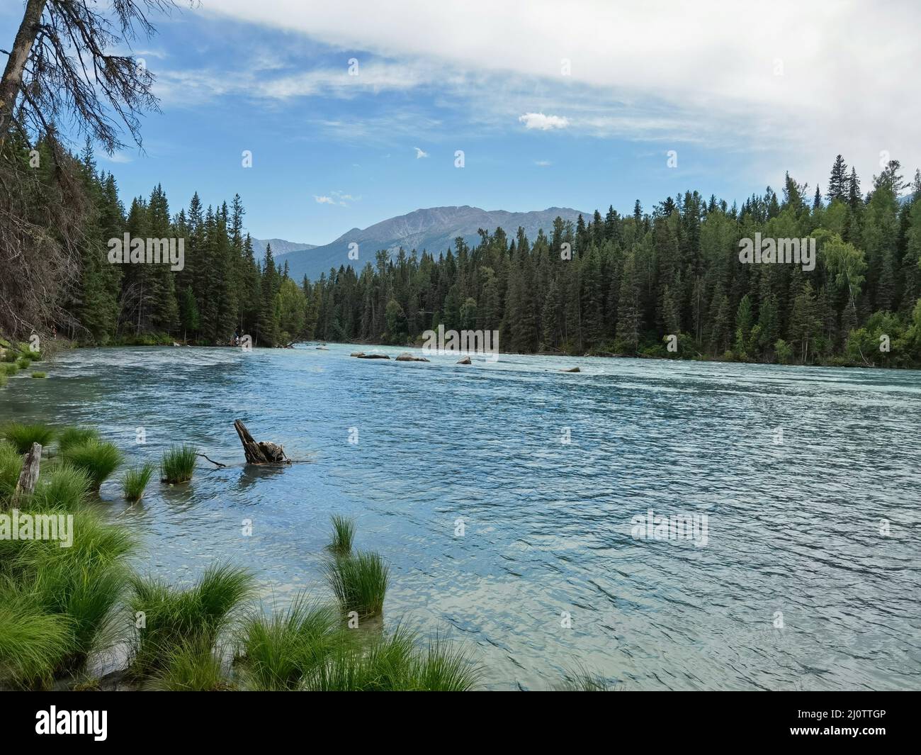 Beautiful view of a crystal blue lake in a middle of a forest under a ...