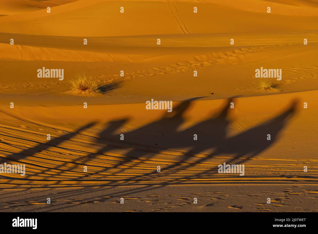 Shadows Of A Group Of Travelers Are Seen In The Sand As They Walk ...