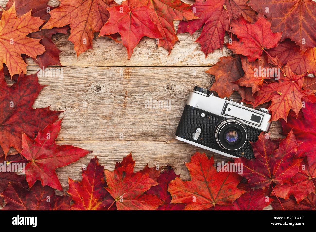 Old botanical photograph hi-res stock photography and images - Alamy