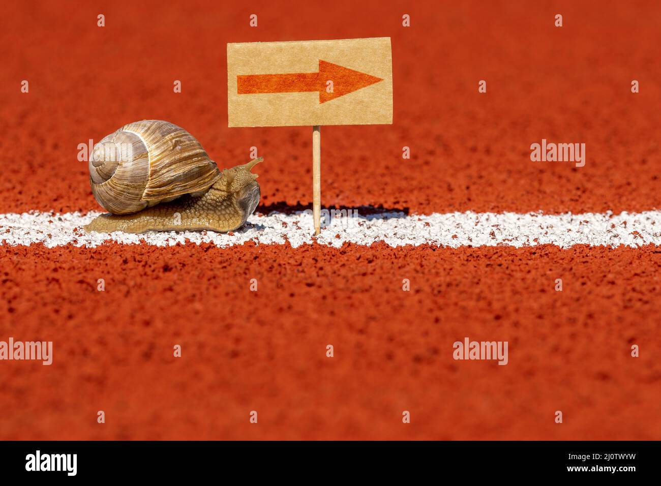 Strategy red signpost hi-res stock photography and images - Alamy