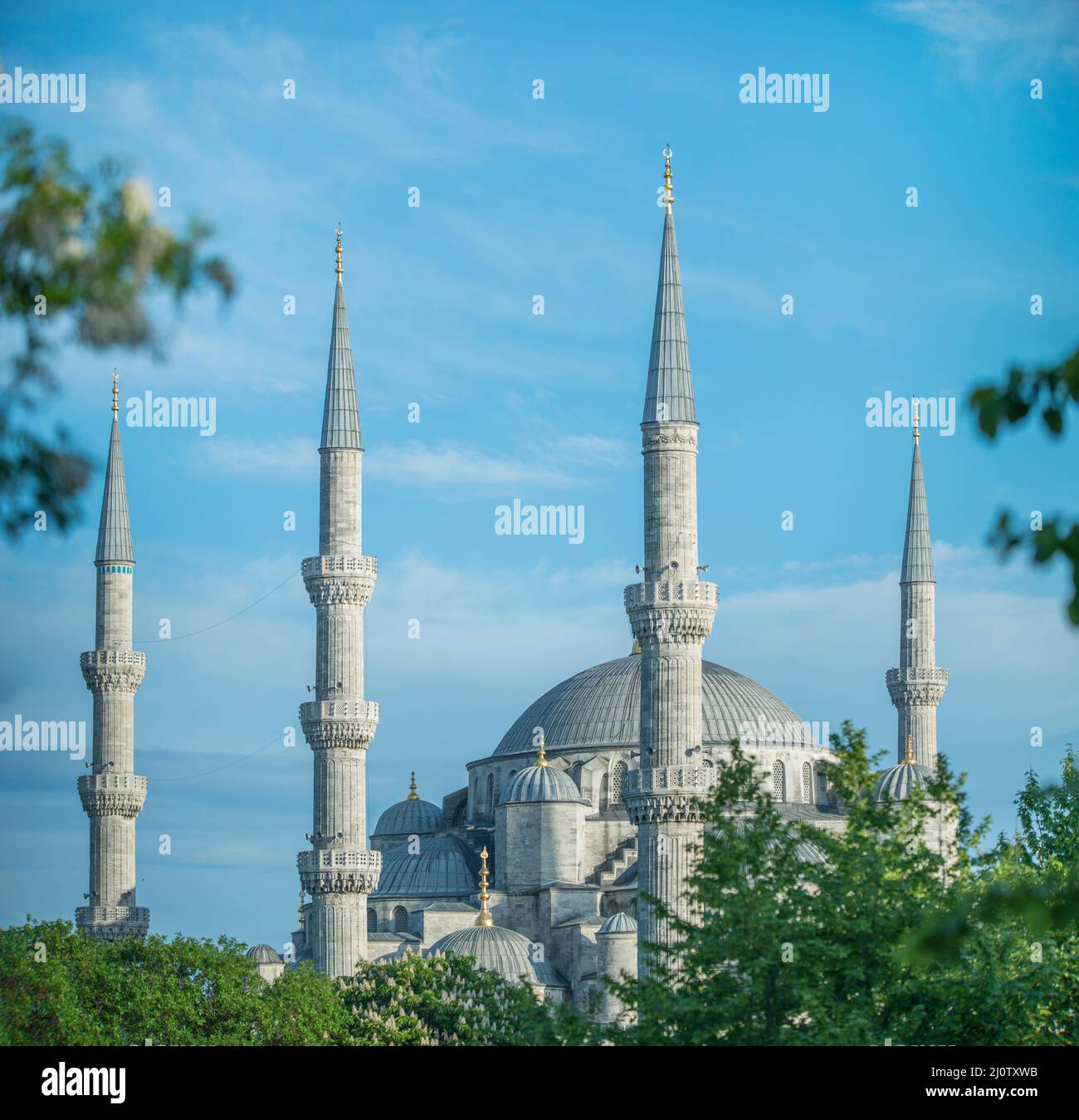 View between the trees of the blue mosque in istanbul with four of its ...