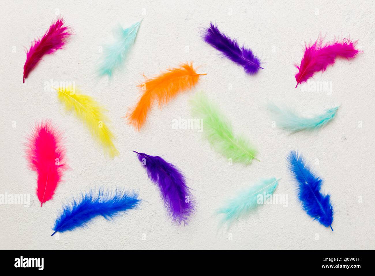 Light colored tail feathers hi-res stock photography and images - Alamy