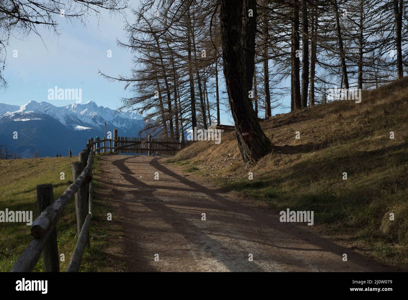 Narrow hiking trail with a wooden fence on a grassy mountain on a sunny ...