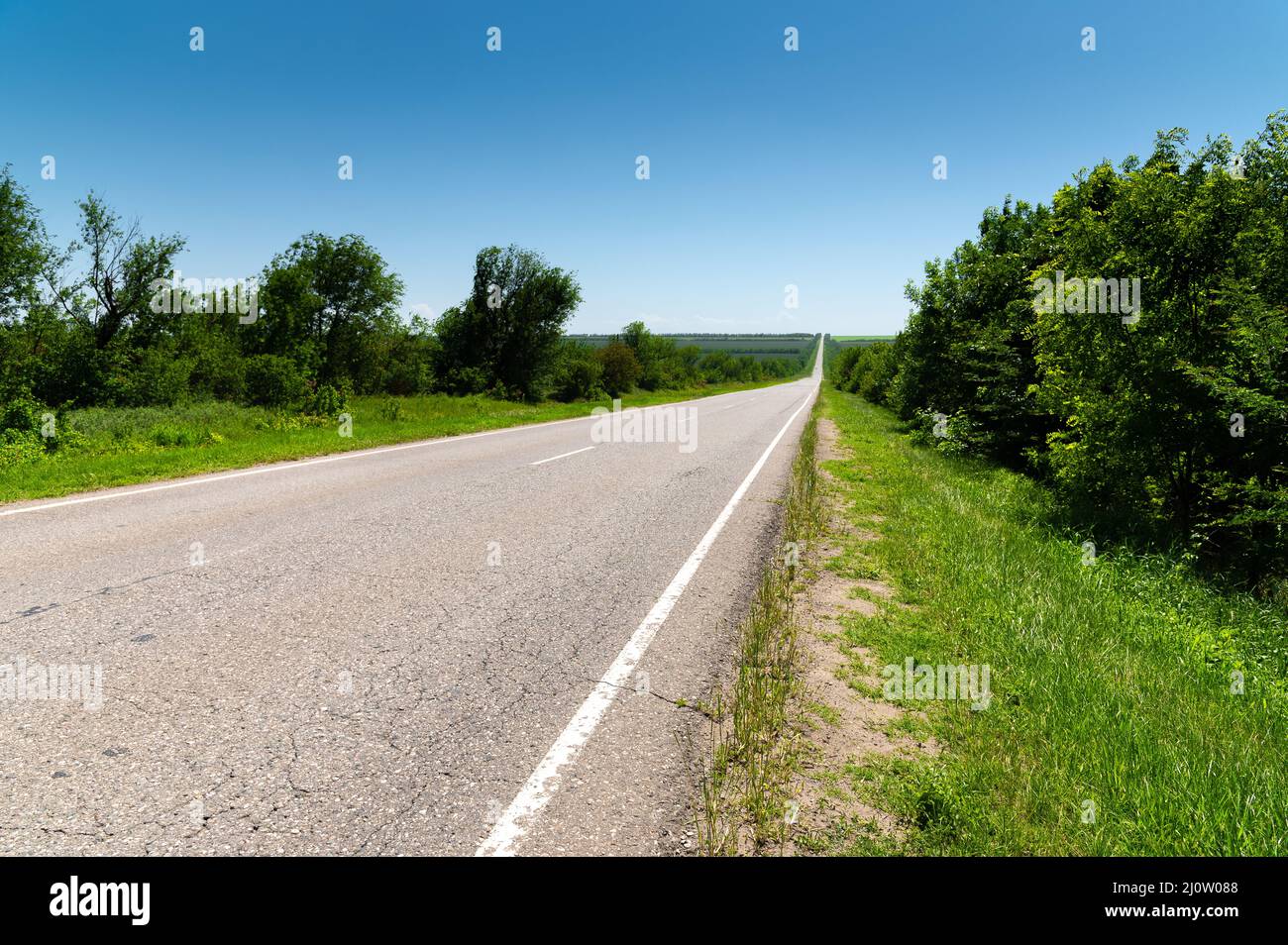 Country asphalt road in summer with green grass and trees on the ...