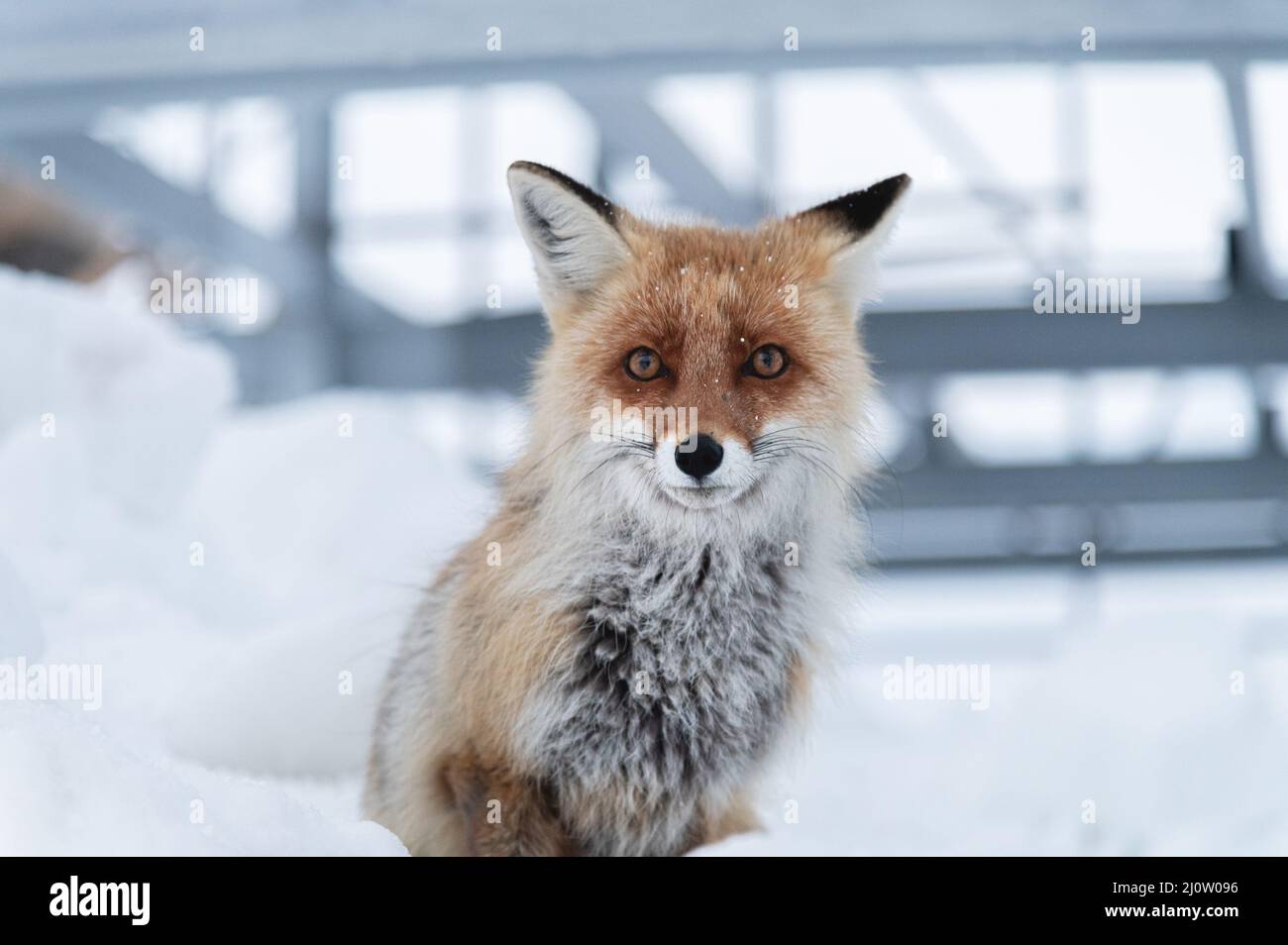 Red structures hi-res stock photography and images - Alamy