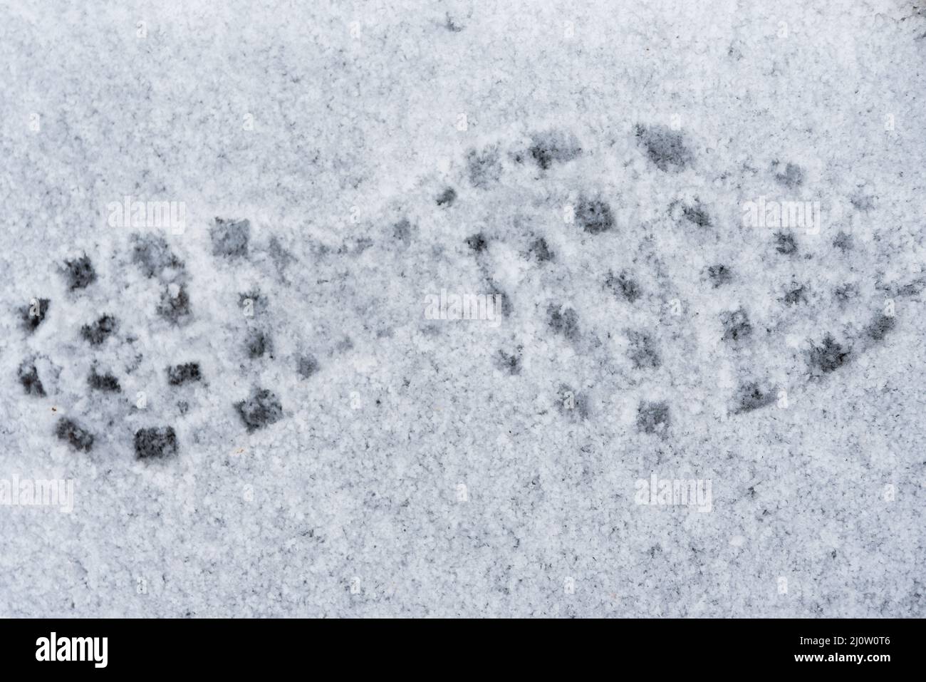 Shoe footprint hi-res stock photography and images - Alamy