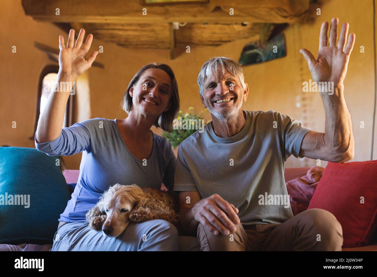 Dog waving hi-res stock photography and images - Alamy