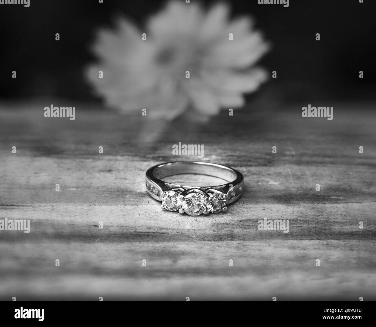 Three stone engagement ring on timber with a flower in the background ...