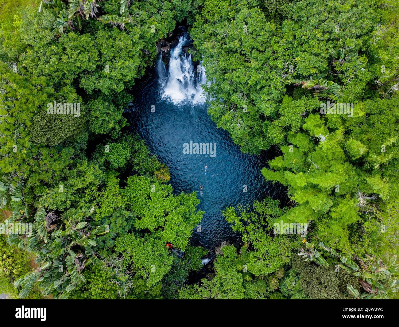 Aerial view of the waterfall in the middle of the forest Stock Photo ...