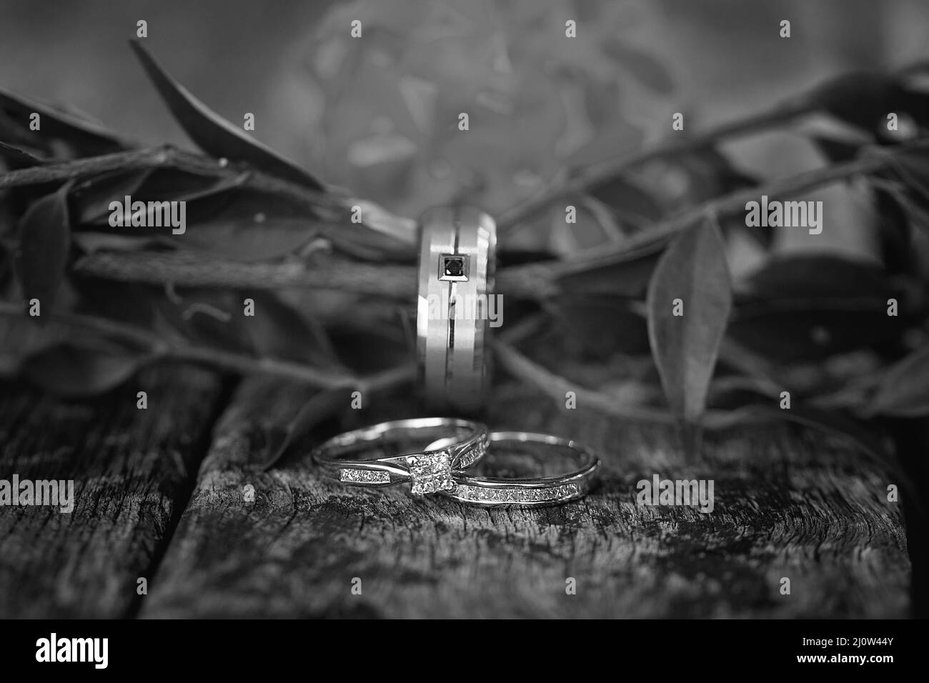 Entwined wedding rings Black and White Stock Photos & Images - Alamy
