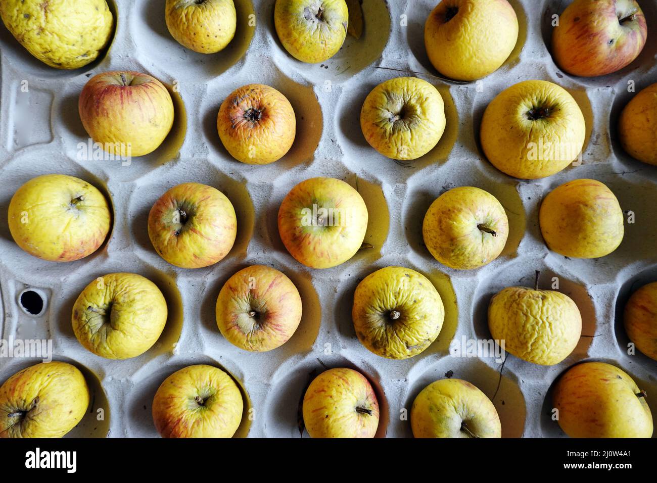 Untreated organic apples are stored on a cardboard pad Stock Photo - Alamy