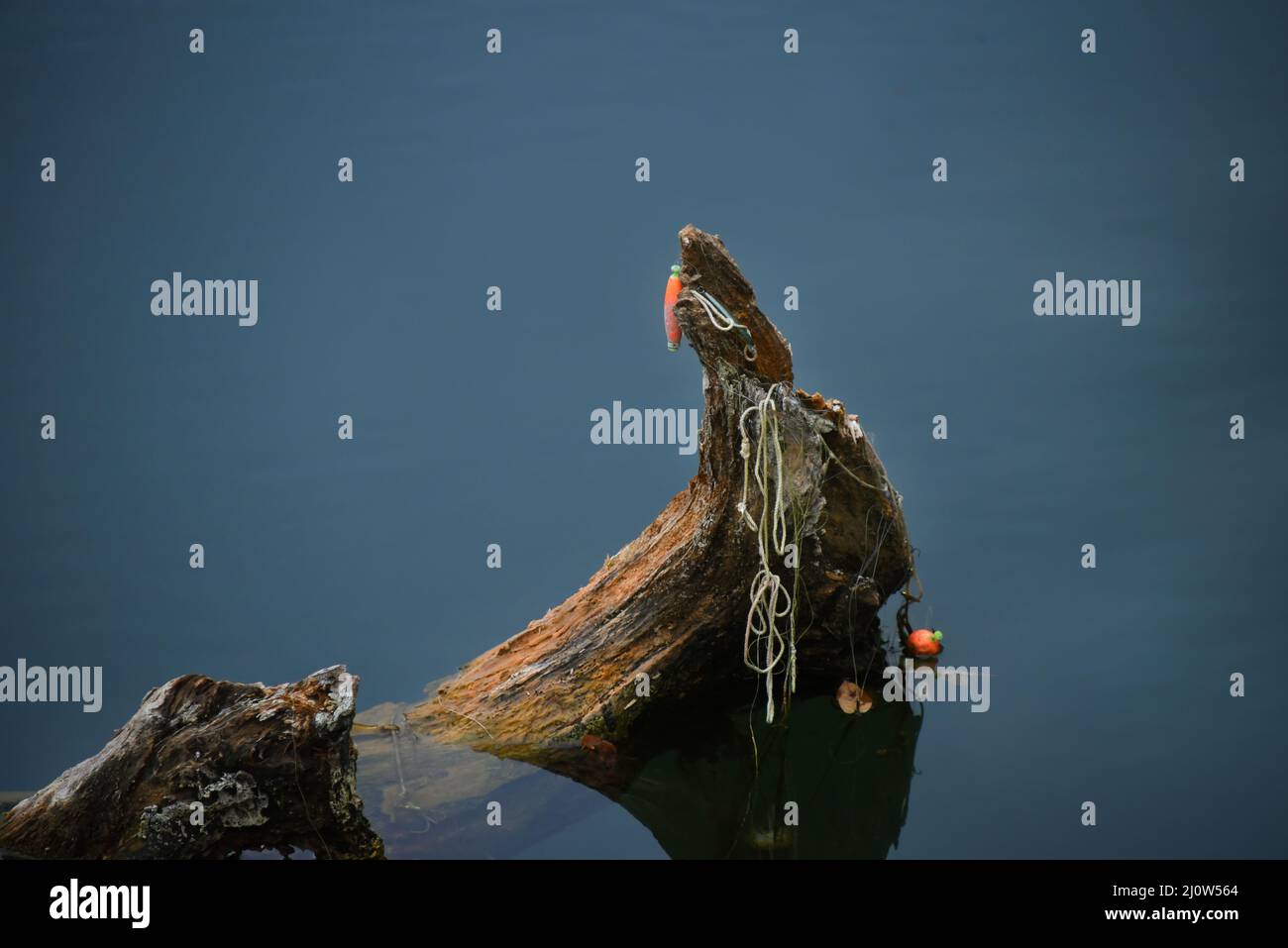Corks, lures and fishing line are tangled on a tree stump that extends ...