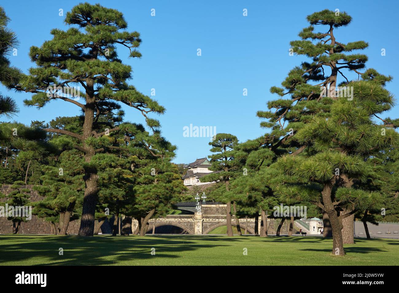 Kokyo Gaien National Garden. Tokyo. Japan Stock Photo - Alamy