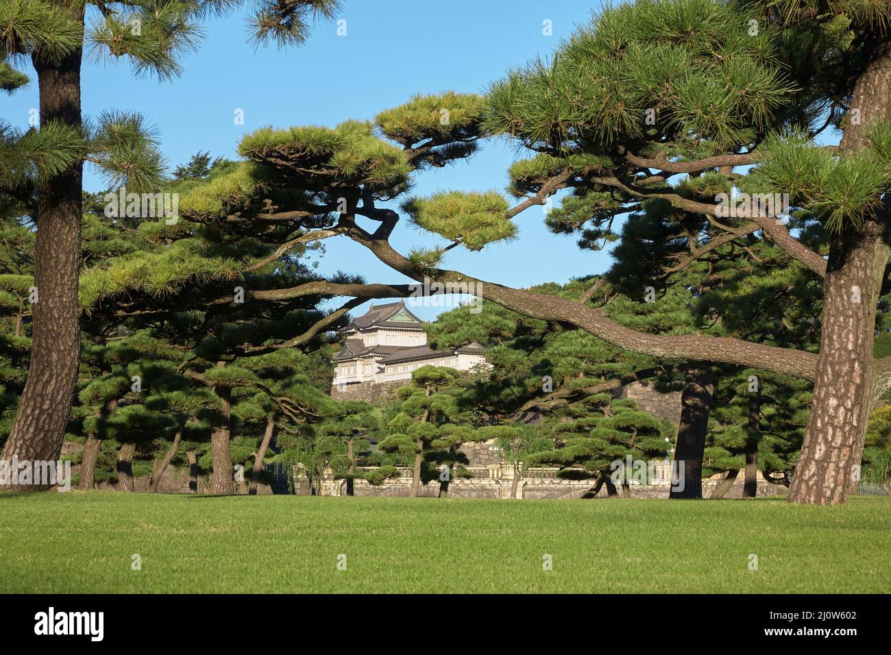 Kokyo Gaien National Garden. Tokyo. Japan Stock Photo - Alamy