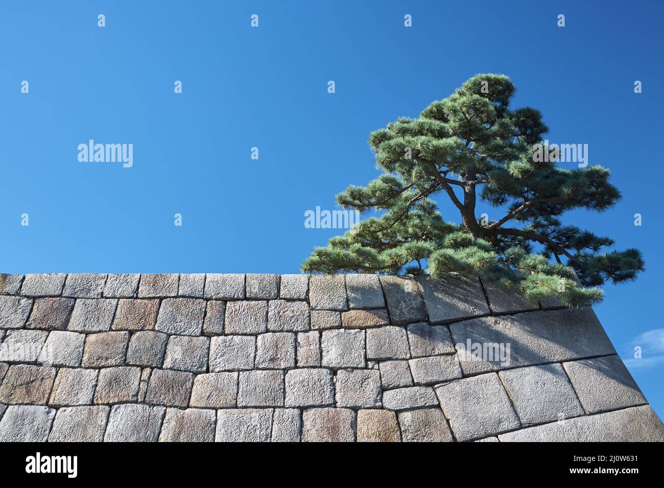 The stone wall of the old Edo castle in the Tokyo Imperial Palac Stock ...