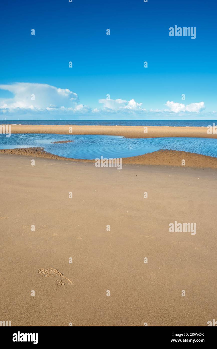 Minimalist Landscape Blue and Yellow beach in portrait format Stock ...