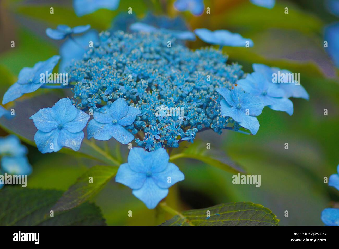 Kamakura attractions hi-res stock photography and images - Alamy