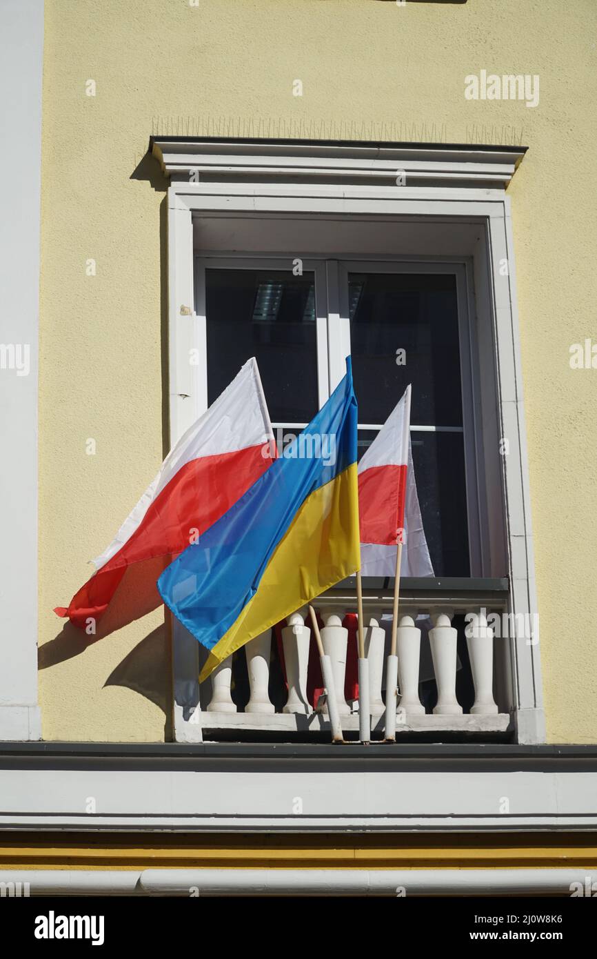 Ukrainian national flags hi-res stock photography and images - Alamy