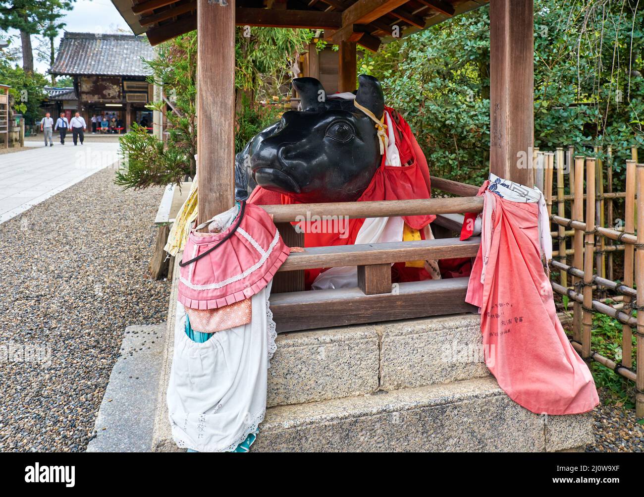 The statue of ox lying down under the roof at Kitano Tenmangu shrine ...