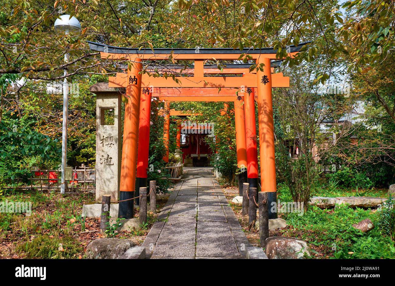 The red torii gates along a path to the small Inari-sha Shrine. Hirano ...