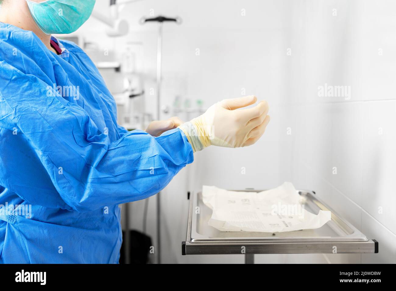 Woman assistant puts on hi-res stock photography and images - Alamy